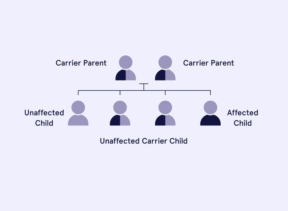 Eugene's Carrier Test - Actionable Testing for Serious Genetic Diseases ...
